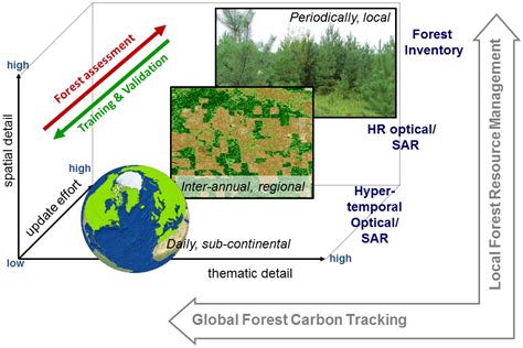 Forests Free Full Text Exploiting Growing Stock Volume Maps For Large Scale Forest Resource