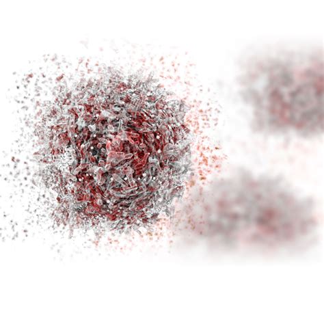 细胞毒性 蔼可芯昂生物仪器（上海）有限公司