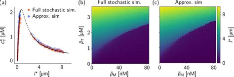 Fig S6 Comparison Between An Exact Gillespe Algorithm Stochastic