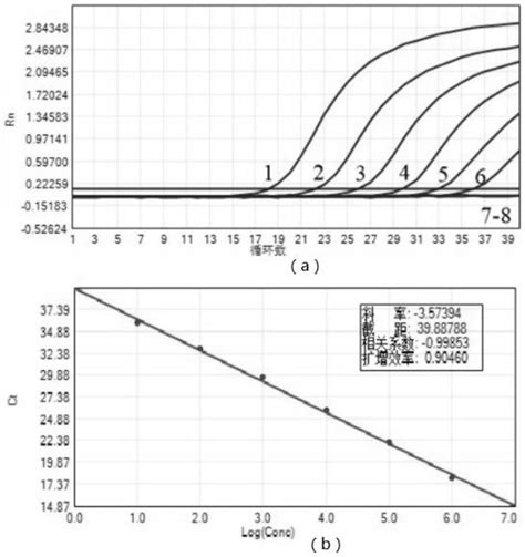 Primers Probes And Kit For Real Time Fluorescent Quantitative Pcr