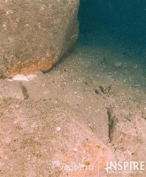 Benthic Monitoring Plans And Implementation Inspire Environmental