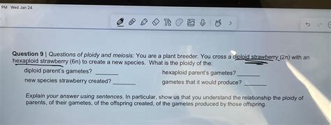 Solved Pm Wed Jan 24question 9 ﻿questions Of Ploidy And