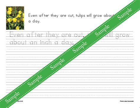 Flowers Plants Copywork Print Cursive Worksheets Sallie Borrink