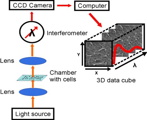The Spectral Imaging System Attached To The Microscope The Light Is Download Scientific The Spectral Imaging System Attached To The Microscope The Light Is Download Scientific