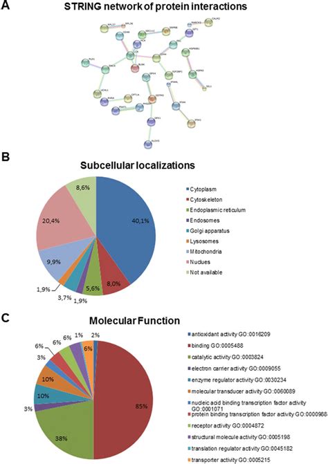 A String Analysis Of Interaction Networks Of Proteins Altered In