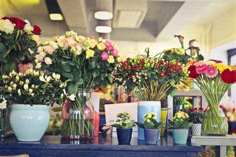 Free Assorted Flower Arrangements Nohat Cc