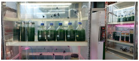 A Microalgae Photobioreactor System For Indoor Air Remediation