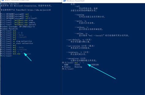 There Is No Output From The Command In Admin Mode Issue 8300 Microsoft WSL GitHub