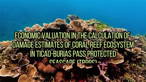 Economic Valuation In Ticao Burias Pass Protected Seascape Special