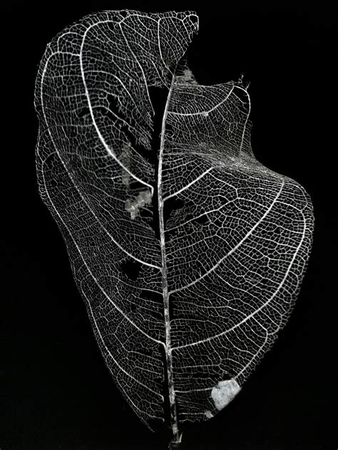 Enzyme Science Photos Download The Best Free Enzyme Science Stock