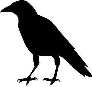 Crow Free Vector Silhouettes On