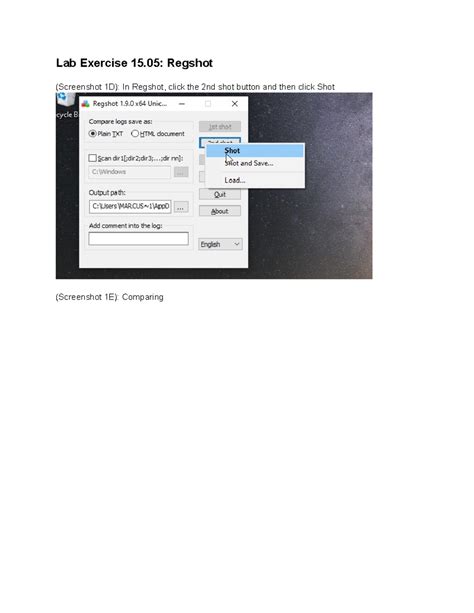 Assignment 9 Lab Exercise 15 Regshot Screenshot 1d In Regshot
