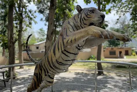 Corbett Interpretation Center
