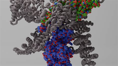 Protein Structure Proteomics And Alternative Splicing University Of Michigan Medical School
