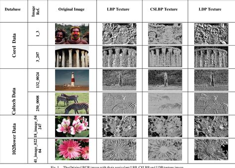 Figure 1 From Content Based Image Retrieval Using Encoder Based Rgb And