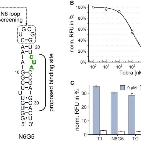 Str Uct Ure Function Analysis Of The Tobra Dependent Riboswitch T1 Download Scientific Diagram
