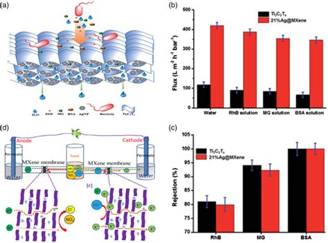 a) Antibacterial illustration of the Ag@MXene membrane. b) The total ...