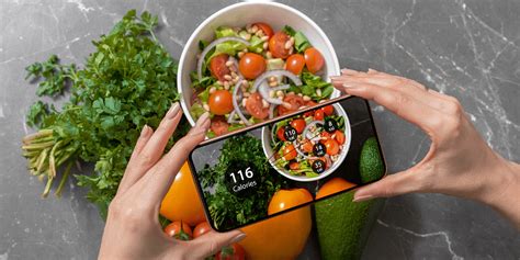 글로벌 푸드테크 투자동향 분석 보고서