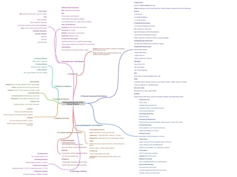 Nursing Management Of The Normal Newborn Coggle Diagram
