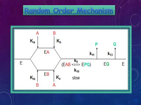 Kinetics Of Multi Substrate Enzyme Catalyzed Reaction Pptx