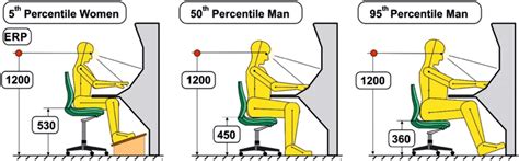 console with 5th percentile women 50th percentile man and 95th