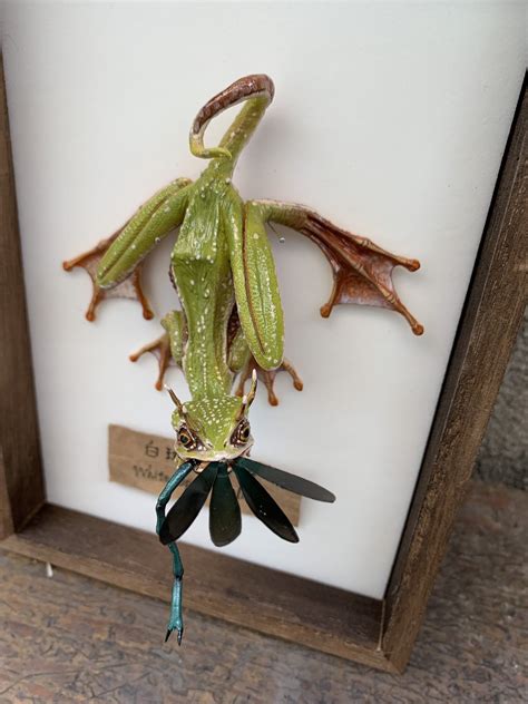 This Is An Incredible Crinoid Fossil Specimen Awesome Artofit