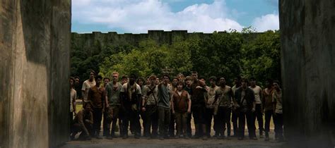 The Maze Runner Review Eggplante
