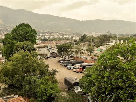 Explorando el significado y características de las chibolas en Venezuela y Honduras Slow Life