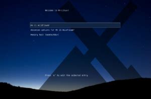 How To Install MX Linux Step By Step With Screenshots