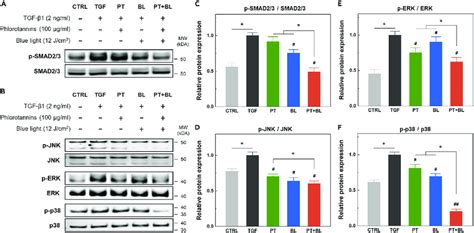 Combined Biomodulative Effect Of Pt And Bl On Cell Signaling Pathways