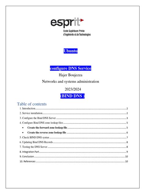 dns lab pdf domain name system directories