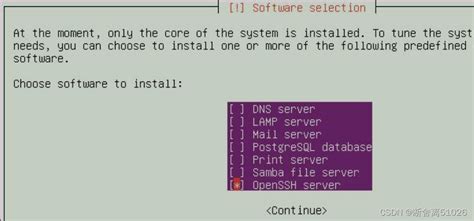 Linux Ubuntu 1804 版 安装过程图解说明 详细ubuntu1804安装教程详细 Csdn博客