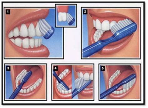 Is There A Perfect Way to Brush Teeth? | SiOWfa15: Science in Our World: Certainty and Controversy