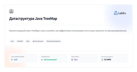 java treemap Полный учебник по программированию labex