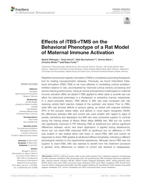 Pdf Effects Of Itbs Rtms On The Behavioral Phenotype Of A Rat Model Of Maternal Immune Activation