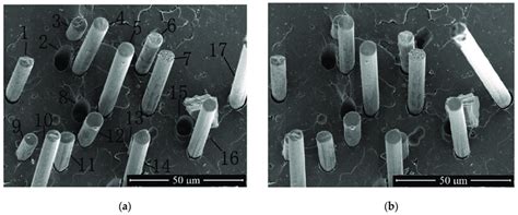 Sem Images At Different Inclination Angles A Tilted −5 • B