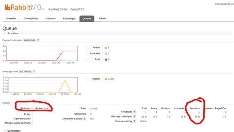 Rabbitmq Message Persistence And Metrics