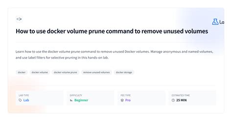 how to use docker volume prune command to remove unused volumes labex