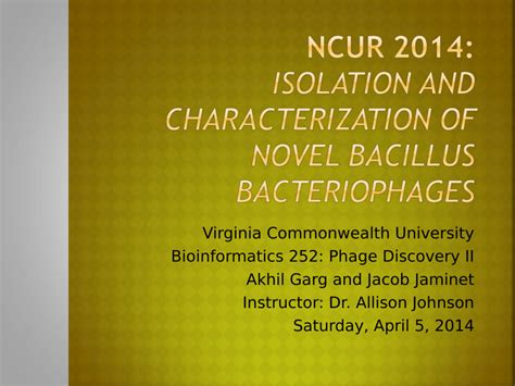 Pdf Isolation And Characterization Of Novel Bacillus Bacteriophages
