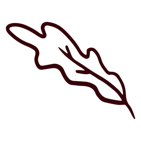 Isolated Elongated Leaf Png And Svg Design For T Shirts