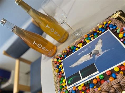 Celebrating With Our Icelandic Customers Their Work Is Moving The Mrna Ternaria Biosciences