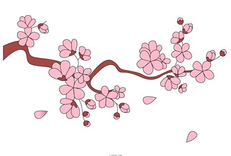 Как нарисовать сакуру поэтапно 🖌 Рисунки карандашом поэтапно