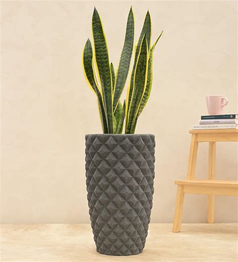 Diamond High Planter Ugaoo