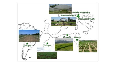 Test Environments For Biomass Yield Phenotyping Of 128 Alfalfa Half Sib Download Scientific