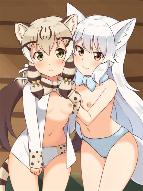 Geoffroys Cat Kemono Friends Danbooru