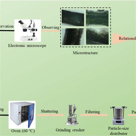 Experimental Flowchart Of Samples Download Scientific Diagram
