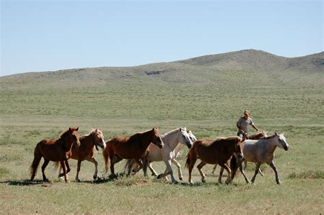 몽골 고비사막과 어린이들 두피디아 여행기