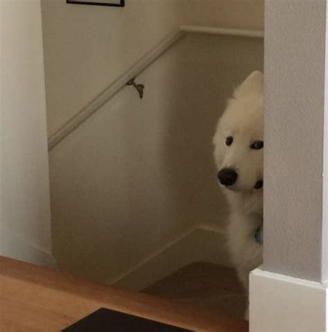 추상클래스와 인터페이스