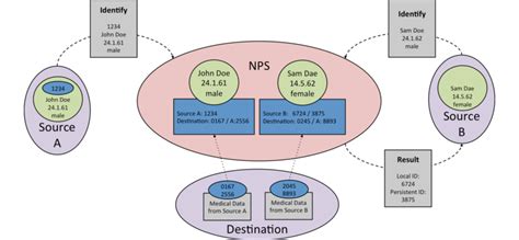 Persistent Identifier And Initial Identification Download Scientific Diagram