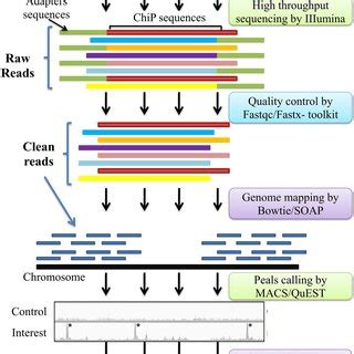 Overview Of Data Analysis With ChiP Seq Download Scientific Diagram